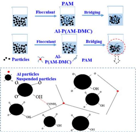 一种新型有机 无机杂化聚合物絮凝剂PAC AM DMC的表征和絮凝评价 Journal of Applied Polymer