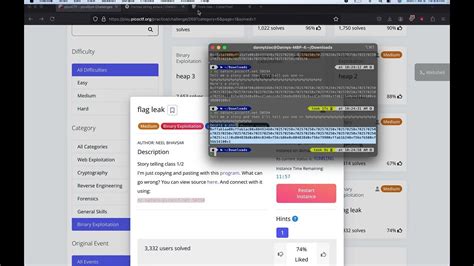 Picoctf Flag Leak Youtube