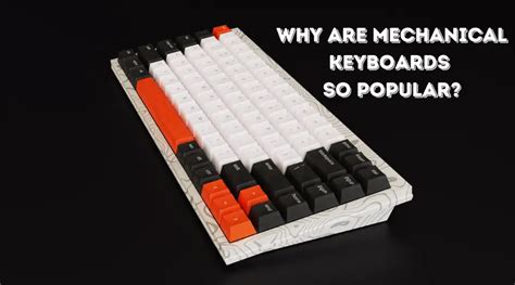 Why Are Mechanical Keyboards So Popular Know THIS