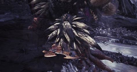 Squished Like A Bug Album On Imgur