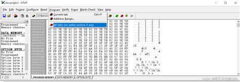 使用stvp烧录stm8的hex文件stvp烧录教程 Csdn博客