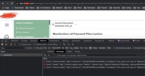 Websockets Not Connecting In Local Machine While Developing · Issue