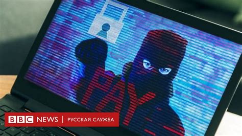 Россиянина задержали в Нидерландах по запросу США по делу о кибервымогательстве Bbc News