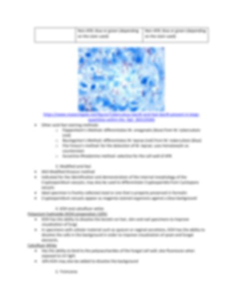 SOLUTION Microbiology Introduction To Staining Techniques Lab Review Guide Studypool