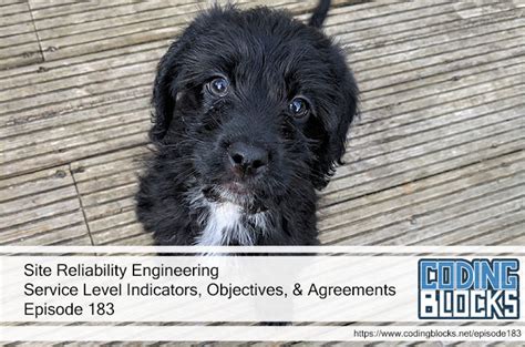 Coding Blocks Podcast And Your Source To Learn How To Become A Better Programmer