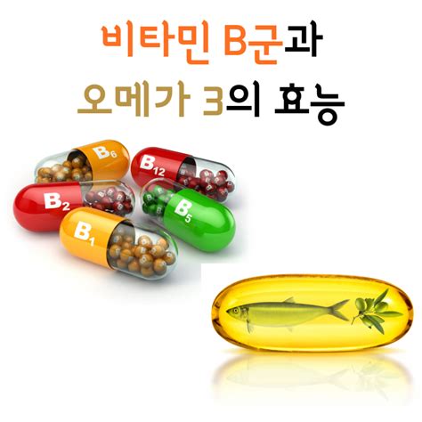 비타민 B군과 오메가 3의 효능 기억력 향상을 위한 영양제 Sok Sok 비타민 B군과 오메가 3의 효능 기억력 향상을 위한 영양제 Sok Sok
