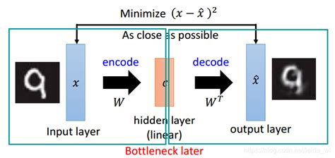 几种autoencoder原理 Csdn博客