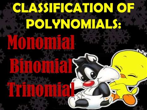 Classifying Polynomials Pptx Computing Technology And Computing