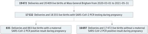 Sex Specific Neurodevelopmental Outcomes Among Offspring Of Mothers With Sars Cov 2 Infection