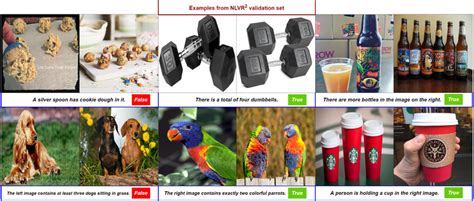 Figure G2 Examples On Visual Reasoning From Nlvr 2 Validation