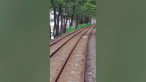 기차가 서지않는 간이역 Youtube