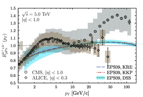 Nuclear Modification Factor For Inclusive Charged Hadrons In Ppb