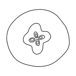 Apple In Section Top View Royalty Free Vector Image