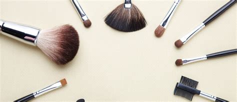 세상의 모든 강의 따즈아