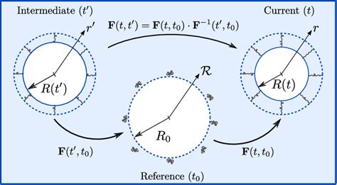 Figure 1 From A Unifying Rayleigh Plesset Type Equation For Bubbles In Viscoelastic Media