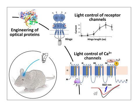 Technologies Dr Jiang Zhu S Lab