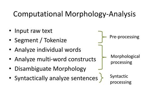 PPT Computational Lexicography Morphology And Syntax PowerPoint Presentation ID