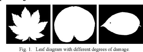 Figure 1 From Leaf Feature Extraction And Classification Based On