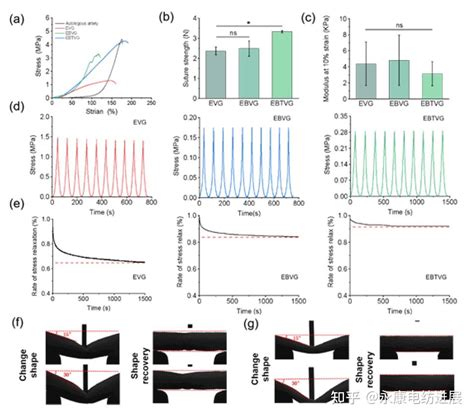 上海工程大学朱同贺教授：具有层次结构的纤维增强血管移植物，促进血管组织再生 知乎