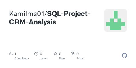 GitHub Kamilms01 SQL Project CRM Analysis