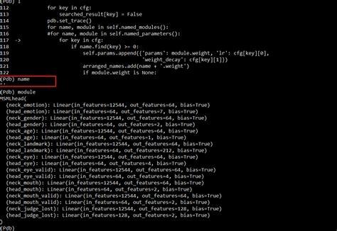 Use Selfnamedmodules Return Name Is Empty Vision Pytorch Forums