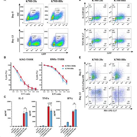 Overview Of The Notch Signaling Pathway Initially The Notch Receptor