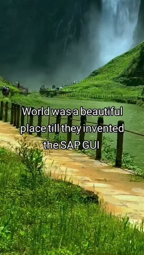 Sap Cult Indeed Sap Sapmeme Sapmemes Sap Memesdaily Dailymemes Meme Memepage Memes