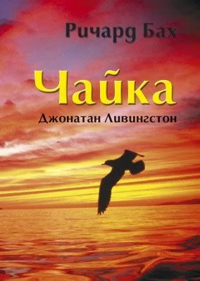 Книга Книга. Чайка по имени Джонатан Ливингстон. Ричард Бах от продавца ...