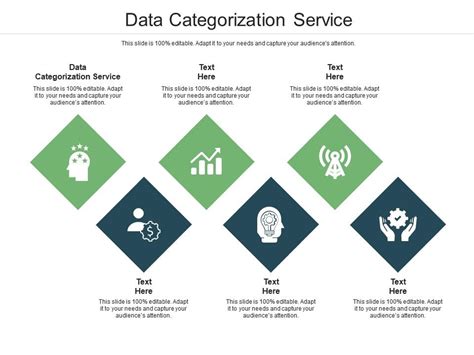 Data Categorization Service Ppt Powerpoint Presentation Summary Maker