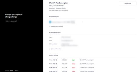 Problem Of Payment For Upgrade ChatGPT OpenAI Developer Forum