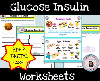 Glucose Insulin Connection Diabetes Principles Of Biomedical Science