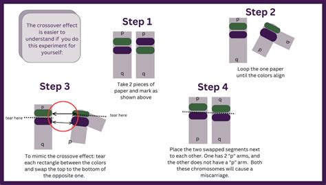 Inverted Y Chromosome Infertility Portal