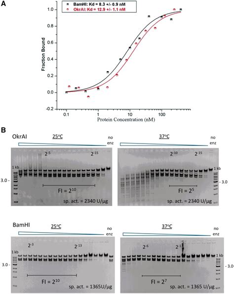 Binding And Cleavage Data A Fluorescence Anisotropy Results For