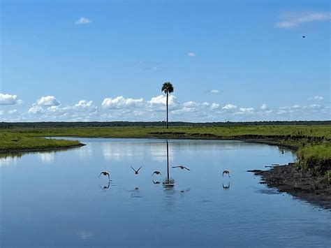 Switchgrass Outfitters And Airboat Tours Christmas All You Need To