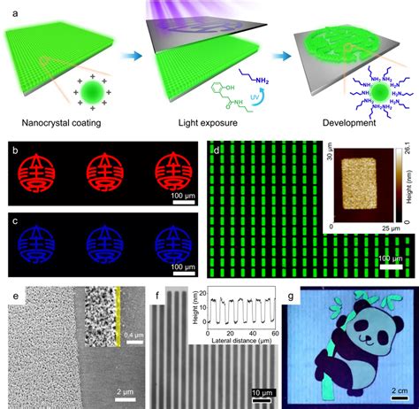 Patterning Of All Inorganic Ncs A Schematic Illustration Of Download Scientific Diagram