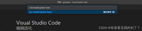 Vscode安装golang插件 Csdn博客
