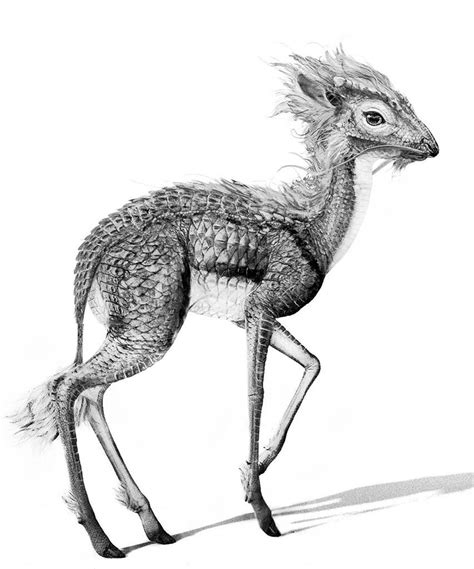 Delphini Harry Potter Wiki Fandom