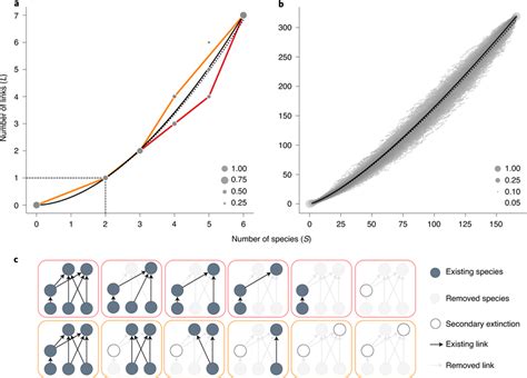 The Network Specific Linkspecies Relationship In Two Empirical