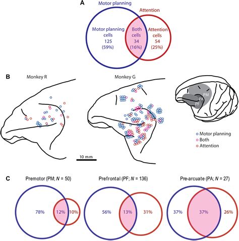 Separable Neuronal Contributions To Covertly Attended Locations And Movement Goals In Macaque