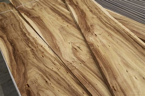 Акация цена купить товары по спецпредложению в магазине Вудсток в Москве