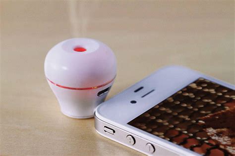 Koki Ibukuro Portfolio