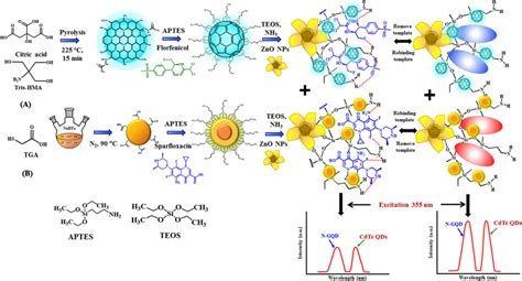 The Synthesis Of The Proposed Fluorescent Probe To Simultaneously Download Scientific Diagram