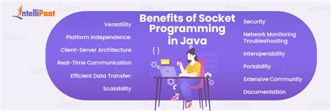 What Is Socket Programming In Java All You Need To Know Intellipaat