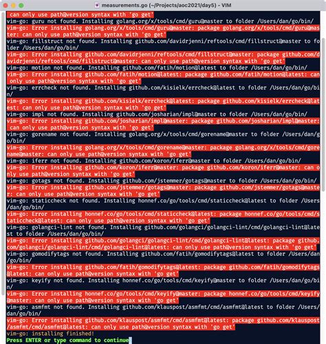 GoInstallBinaries Outputs Errors On A Clean Vim Install Issue