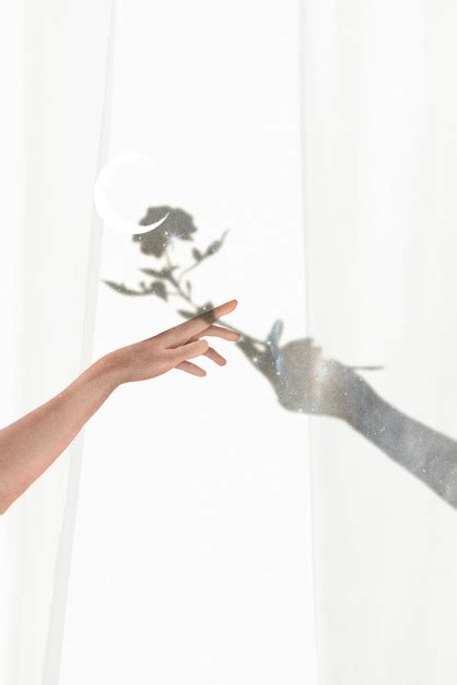 미학적 인 손 Png 스티커 귀여운 일러스트 투명한 배경 프리미엄 사진