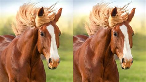 Enlarge Images Without Losing Quality Online For FREE Techniblogic