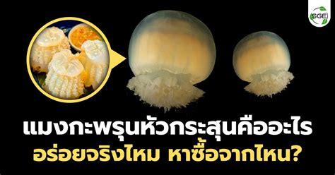 ทำความรู้จัก นัตโตะ ทานยังไงให้อร่อย ประโยชน์เยอะจริงไหม