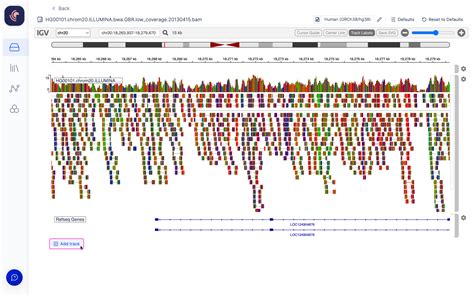 Using Igv On Latch Latchbio