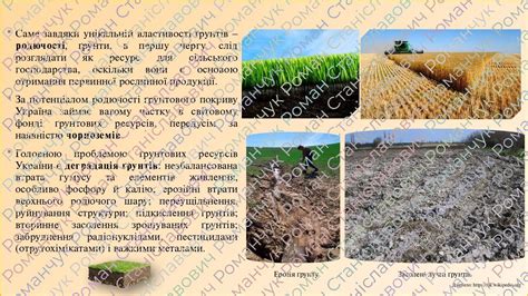 Презентація до уроку географії у 8 класі Ґрунти Основні типи ґрунтів Ґрунтові ресурси