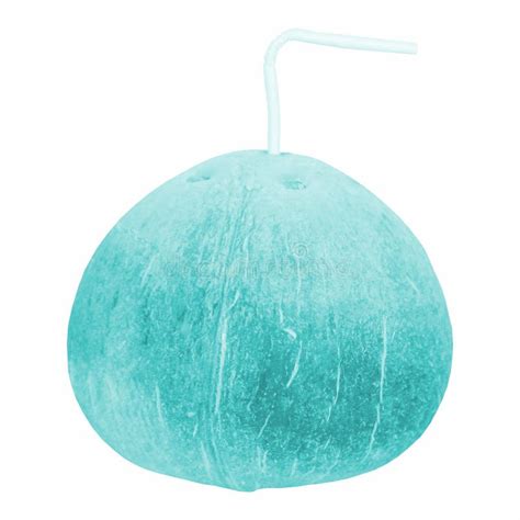 Blue Abstract Coconut Frut With A Straw Drinking Coco Stock Illustration Illustration Of